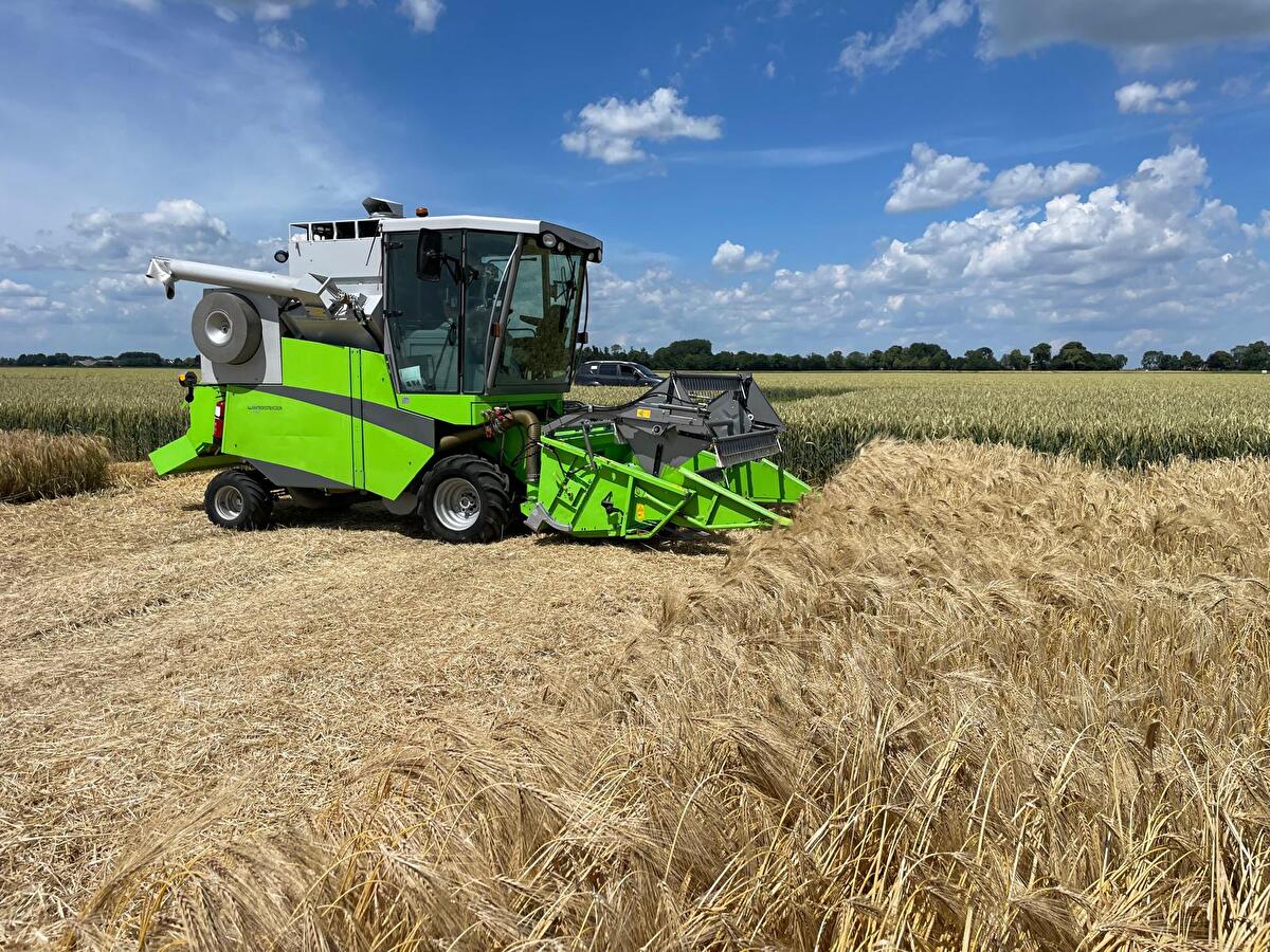 Opbrengsten wintertarwe rassenproef 2024-2025 - SPNA